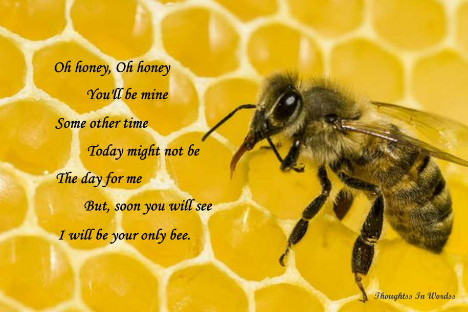 Poetry: Bee - Thoughts in Words
